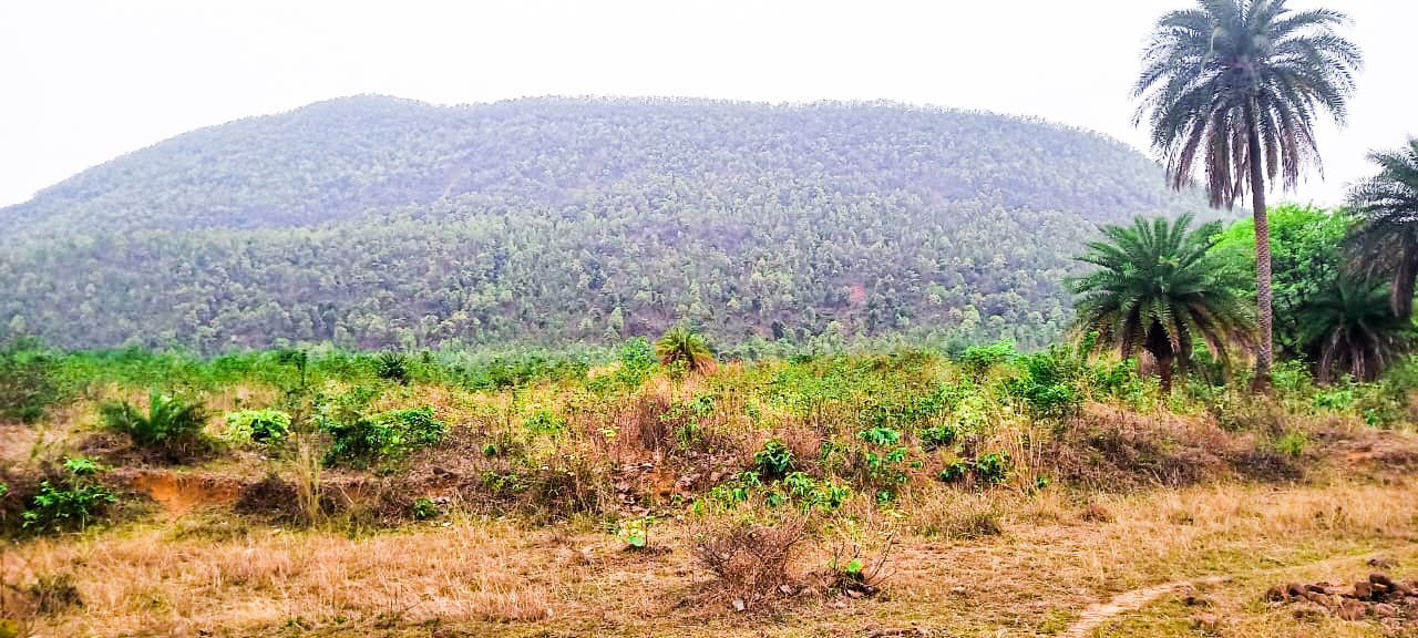 Index of /images/Women_Cell_File